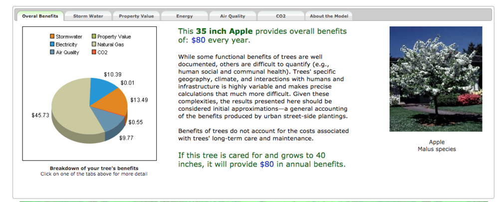 Tools – Plainfield Tree Alliance